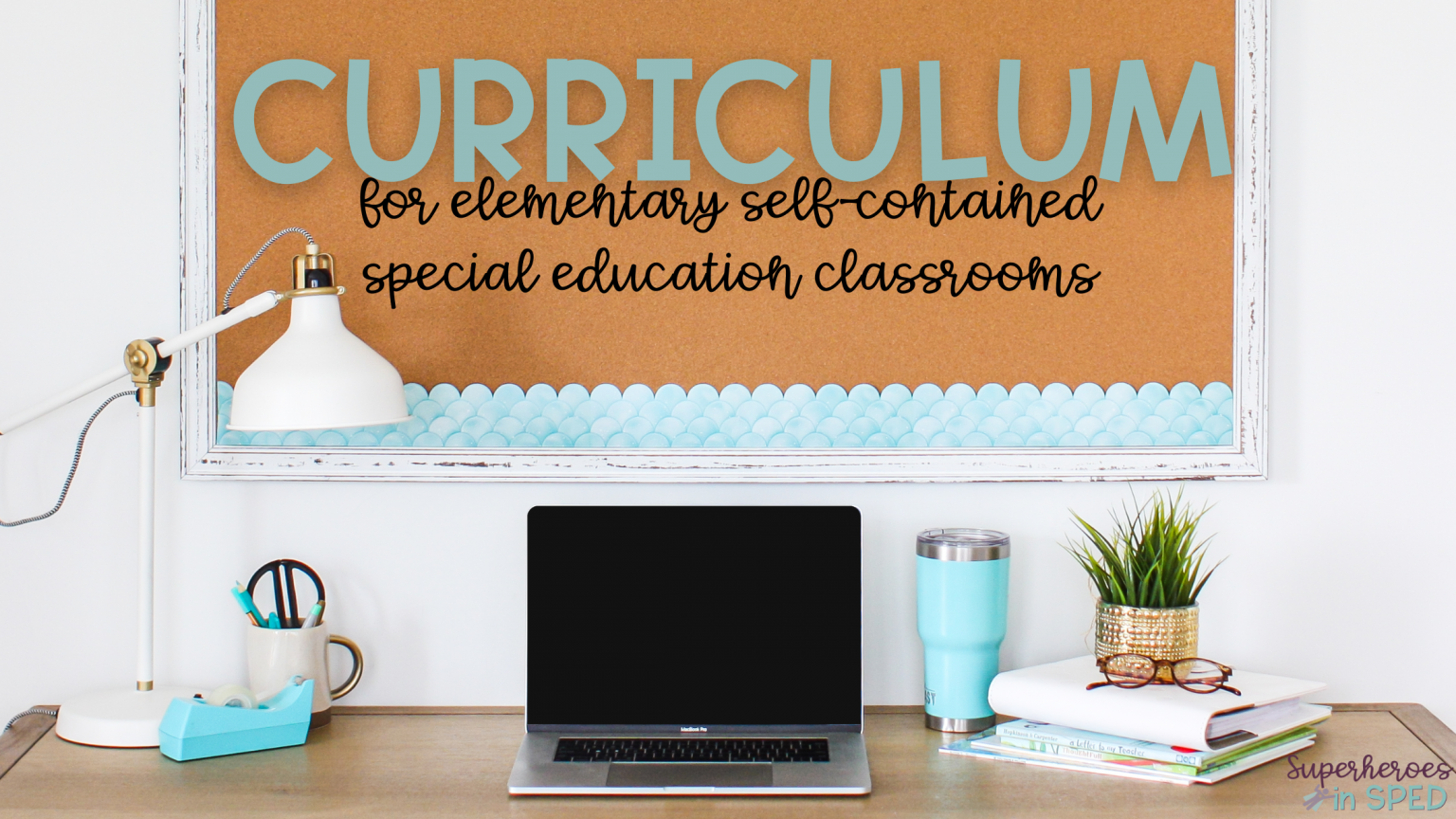 Planning the BEST Curriculum for Self-Contained Special Education ...